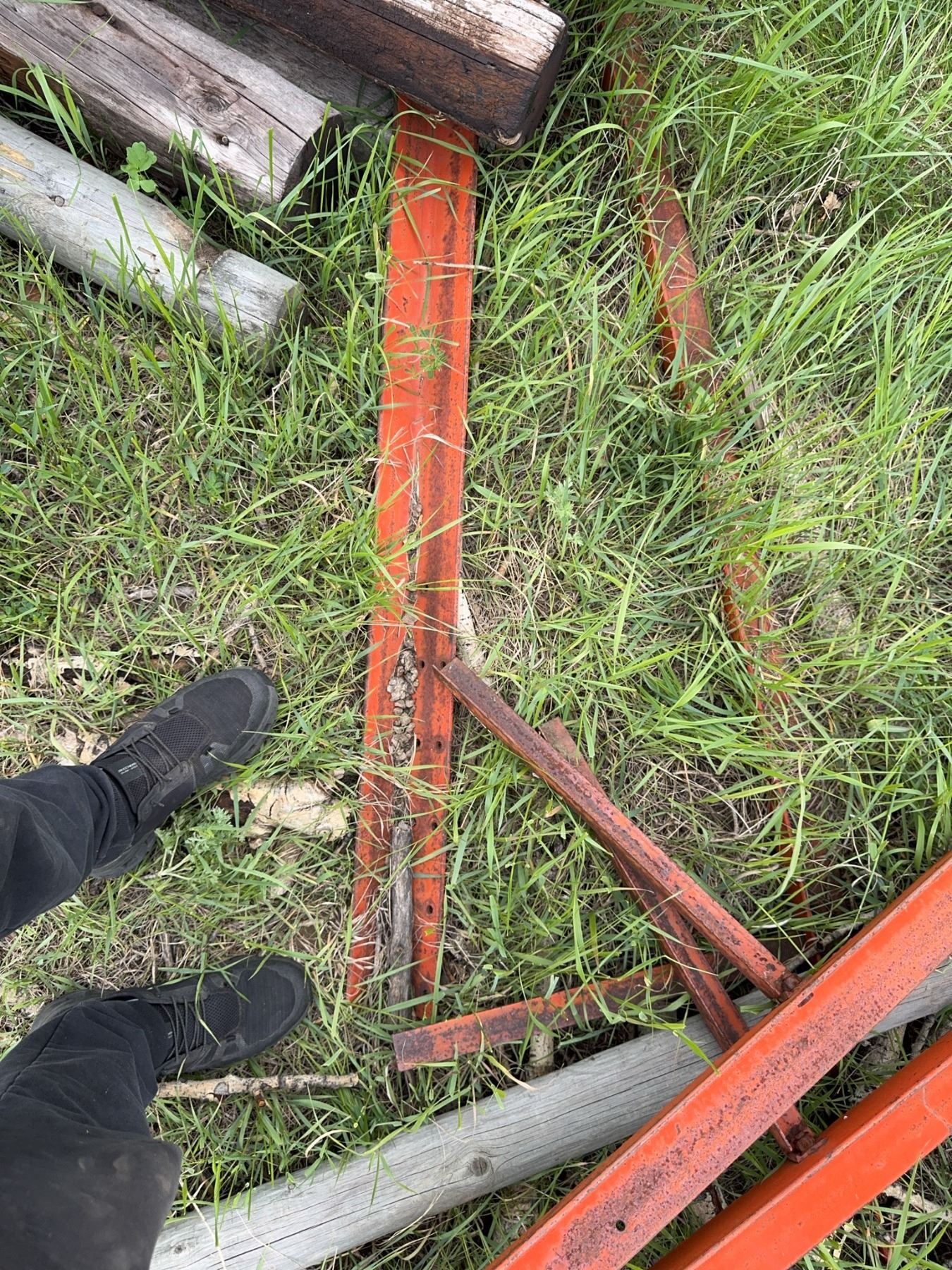 Steel feed stand I-beams with orange paint, each beam measuring ...