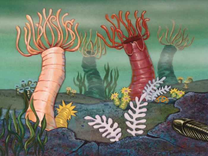 Original Cel Art And Production Background Spongebob