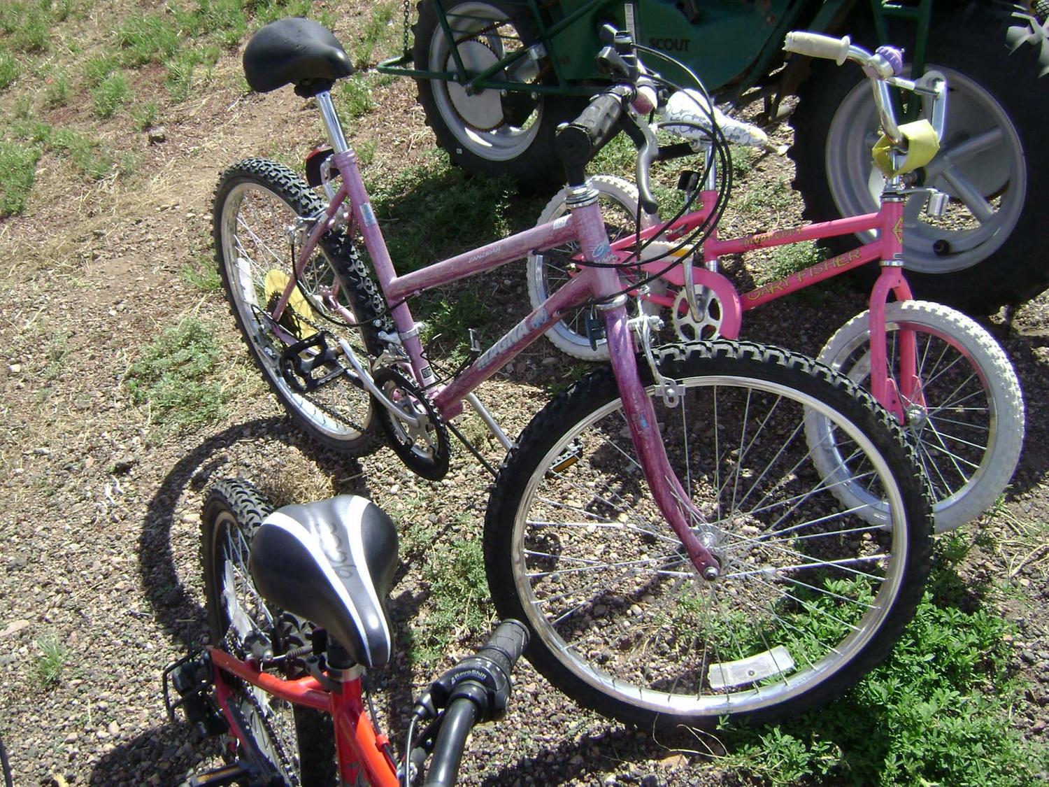 5016 "MAGNA PURPLE WOMEN'S MOUNTAIN BIKE" 1 5 "0" 0 0 700005 0 1