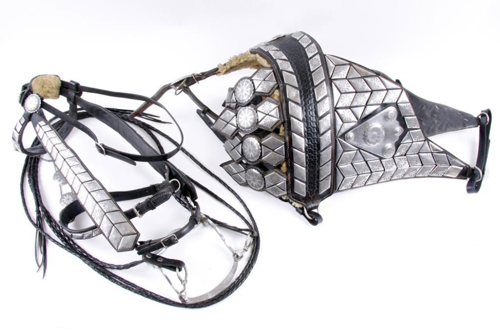 Ted Flowers Style Parade Saddle Beautiful hand-crafted western-style ...