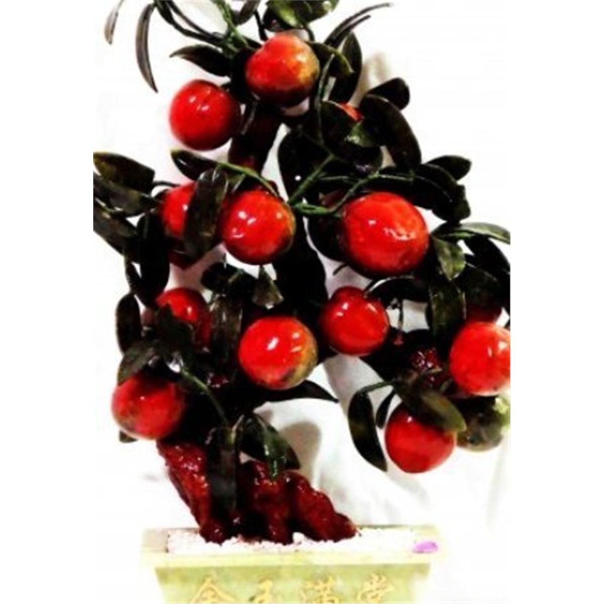 ORNATE JADE FRUIT TREE