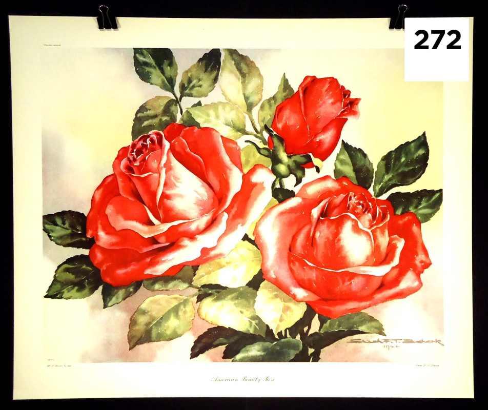 American Beauty Rose; Artist: SCHENK