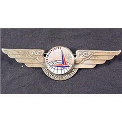 WW2 USAAF FERRY COMMAND PILOT WING - The Front Rea