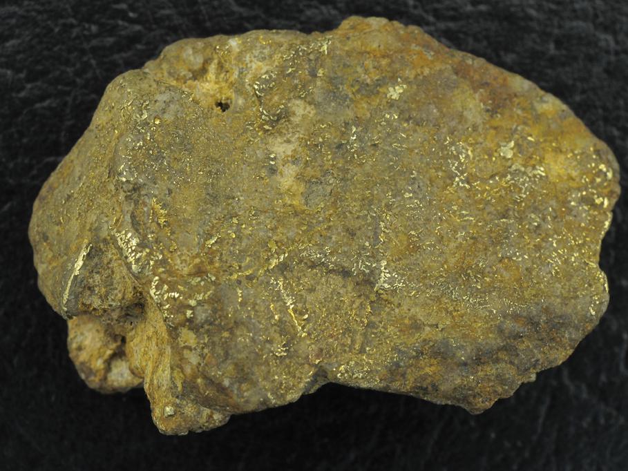 Manhattan,NV - Nye County - c1920s - Native Gold in Quartz Specimen
