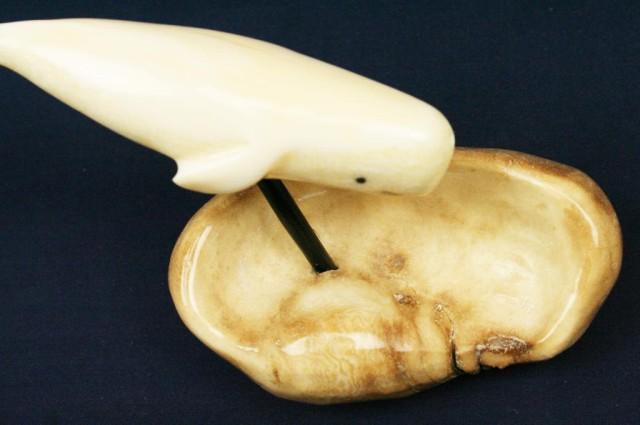 WALRUS TUSK IVORY WHALE ON A WHALES EAR DRUM