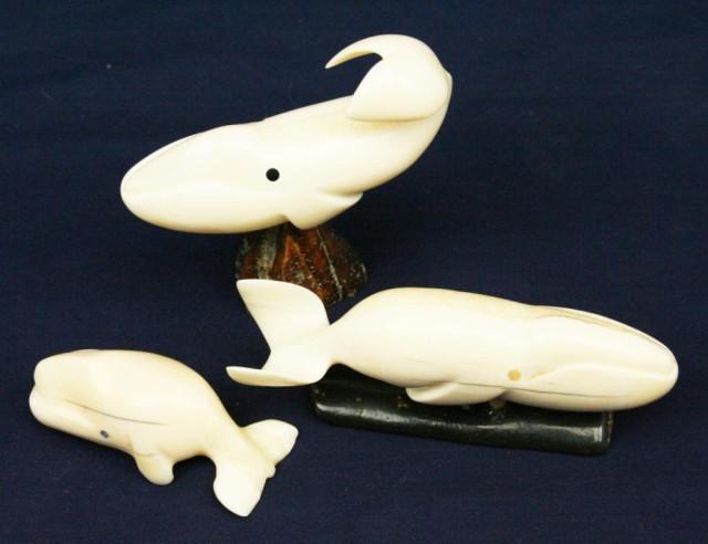 ALASKAN WALRUS TUSK IVORY CARVED WHALES