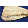 MAORI WHALE BONE CLUB SCRIMSHAW CARVING