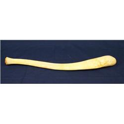 WALRUS BACULUM OOSIK PENIS OR PENILE BONE