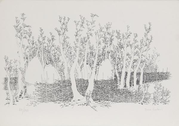 Ivan Lackovic, Portfolio of 12 Silkcreens 1968