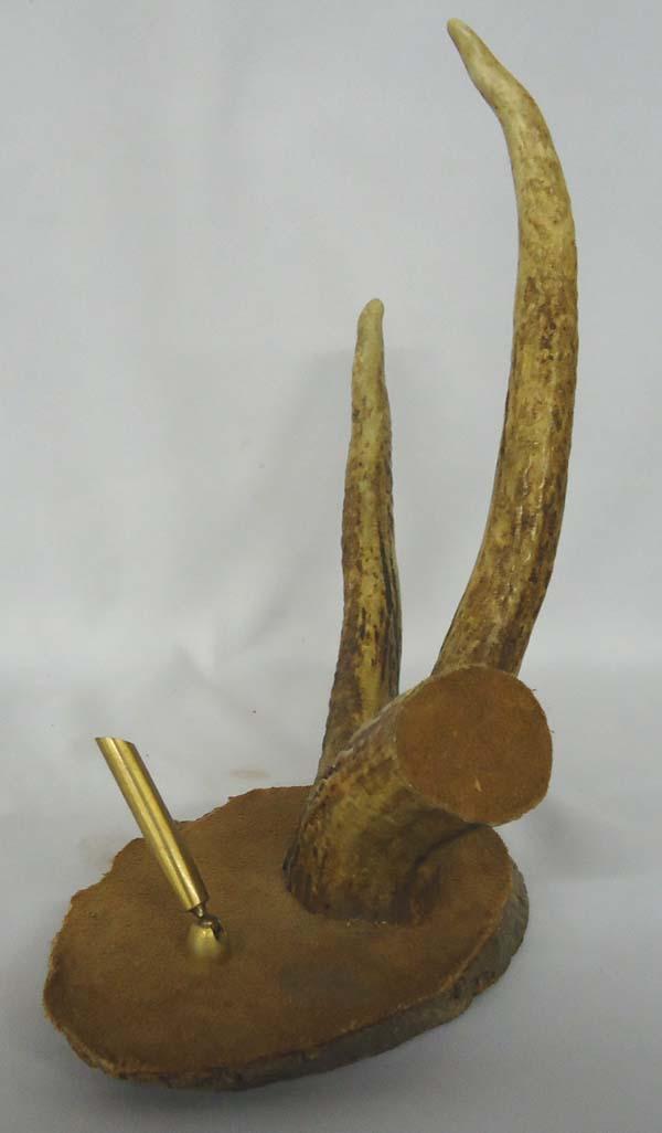 Elk Antler Pen Holder