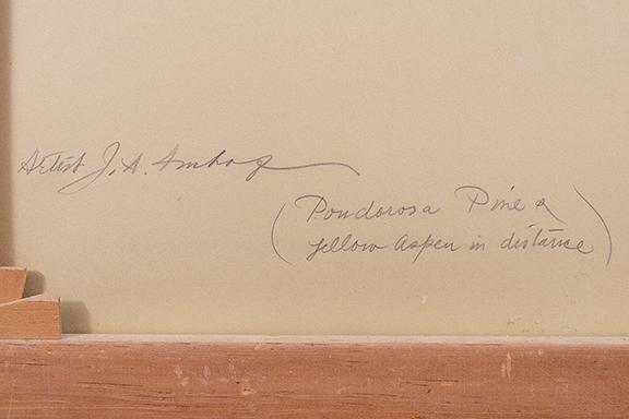 Joseph Imhof (1871-1955), Painting, "Ponderosa Pine and Yellow Aspen in ...