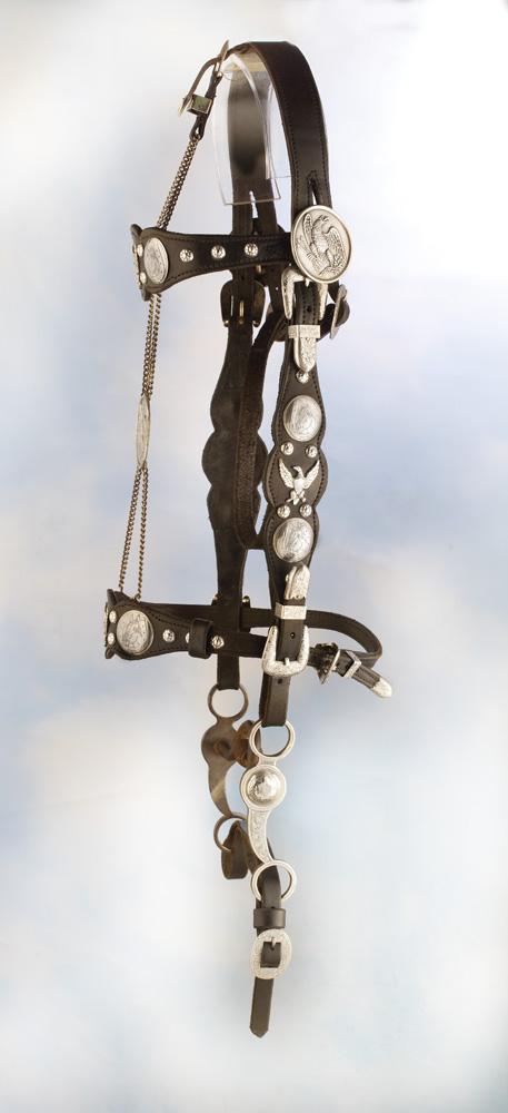 Fancy Silver Headstall