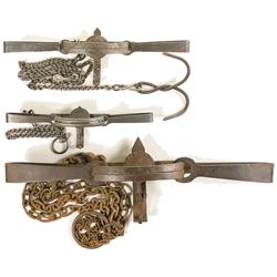 Three Newhouse Traps