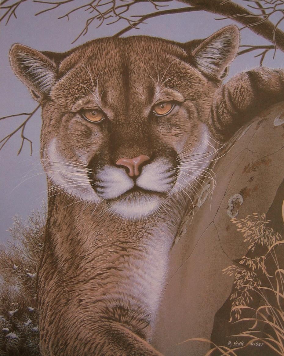 Morning Watch - RANDY FEHR ( Canadian 1948 - )