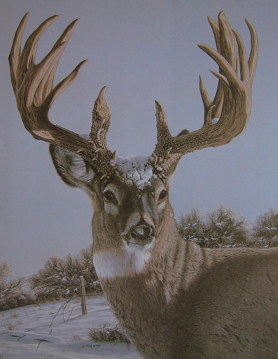 Saskatchewan No. 1 - RANDY FEHR ( Canadian 1948 - )