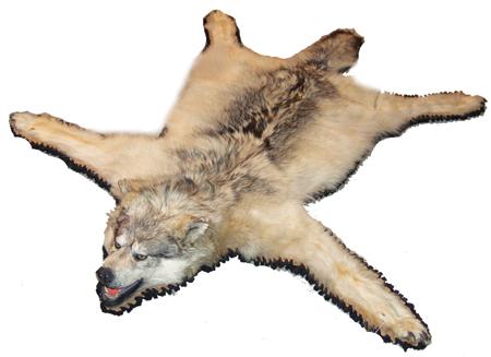 Wolf Hide Rug