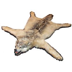 Wolf Hide Rug