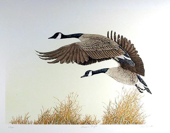 Chris Forrest, Geese in Flight, Lithograph