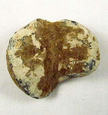 CIVIL WAR CONFEDERATE CS MUSKET MINI BALL ROUND