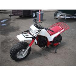 1985 Yamaha BW200 Mini Dirt Bike