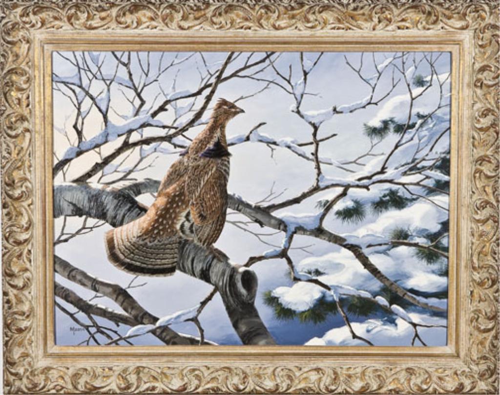 Excellent original oil painting on board of pheasant by premier ...