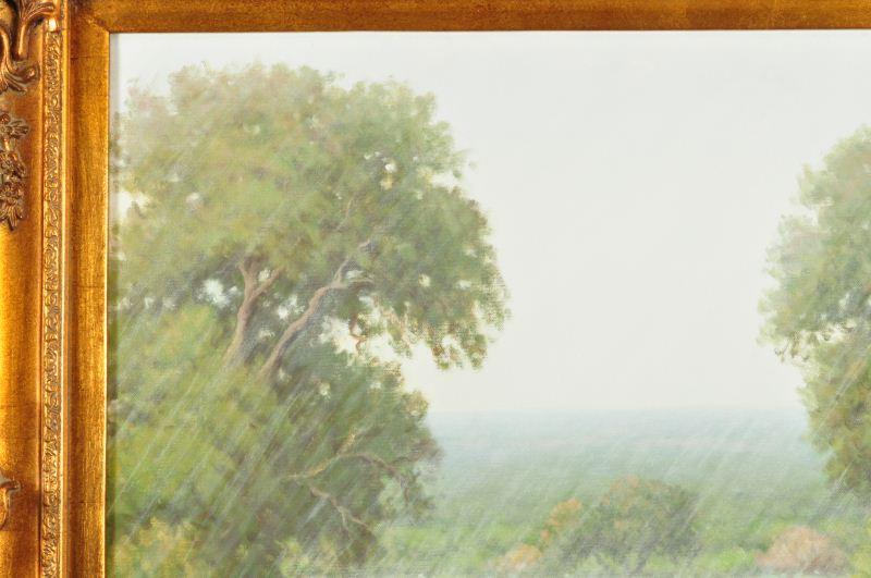 Don Warren "A Rainy Hill Country Spring" Painting
