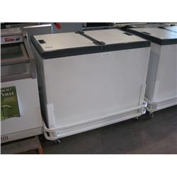 CARAVELL ISKREM MOBILE SPOT FREEZER