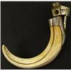 Antique boars tusk ivory cigar cutter