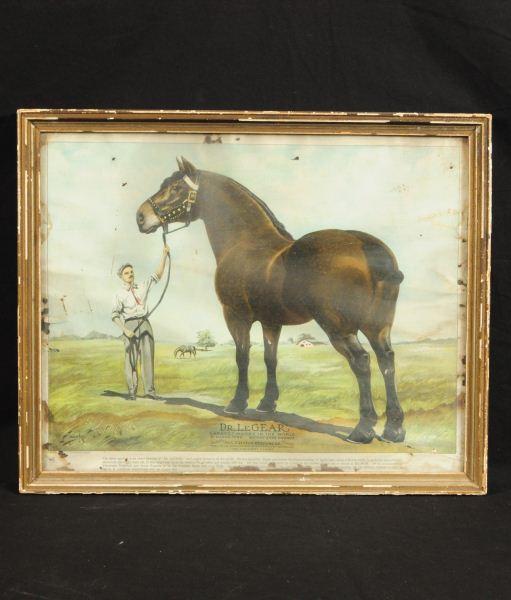 "Dr. LeGear" The Largest Horse in the World Ad P