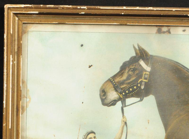"Dr. LeGear" The Largest Horse in the World Ad P