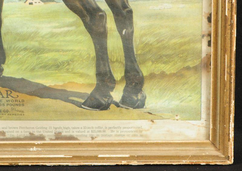 "Dr. LeGear" The Largest Horse in the World Ad P