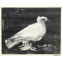 Pablo Picasso, Pigeon, Poster
