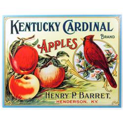 1008 - KENTUCKY CARDINAL APPLES METAL ADVERTISING SIGN - 12.5 X 16