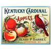 1008 - KENTUCKY CARDINAL APPLES METAL ADVERTISING SIGN - 12.5 X 16