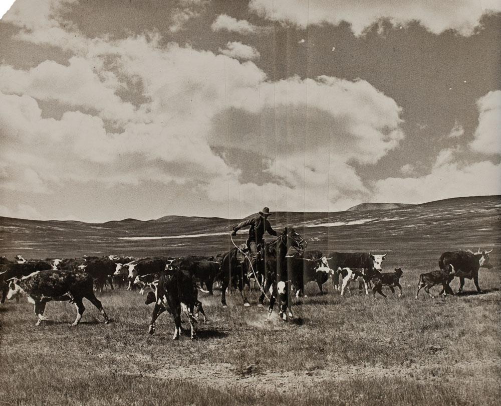 Charles J. Belden, Pitchfork, Wyoming
