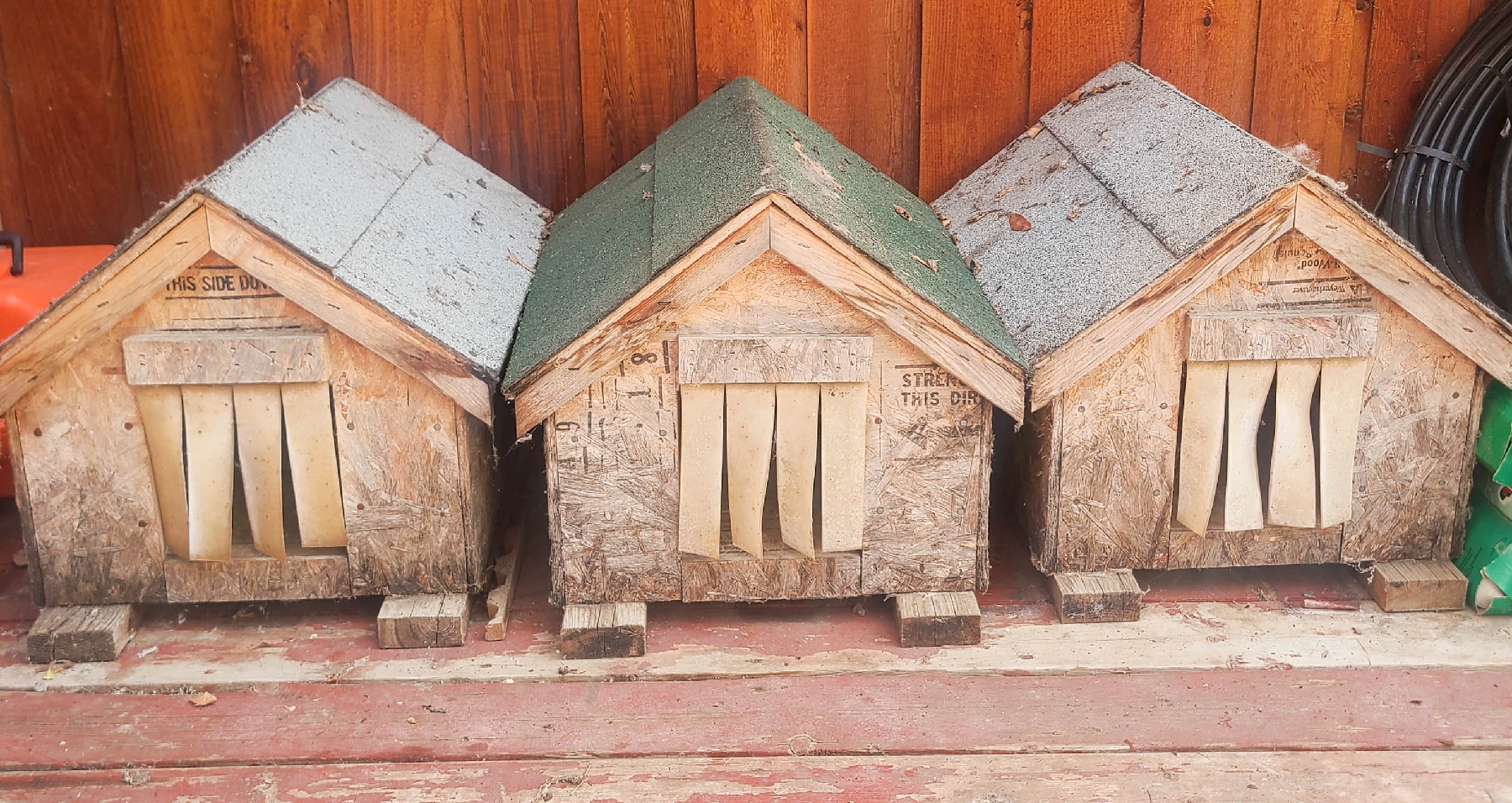 3 SMALL WOOD DOG HOUSES