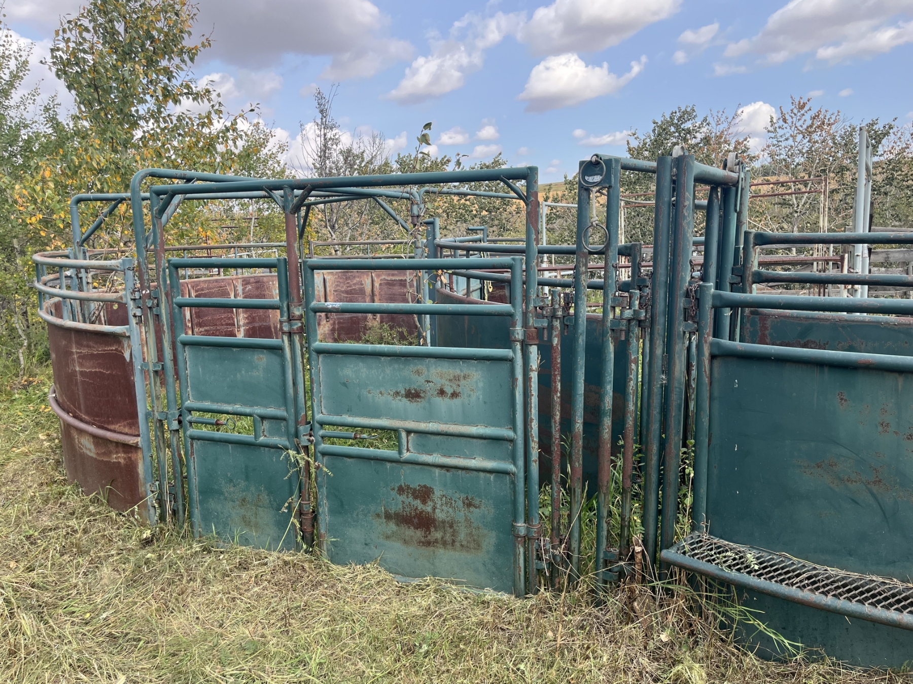 Cattle Handling System C/W Headlock,Squeeze, Mover, Alley, Tub System ...