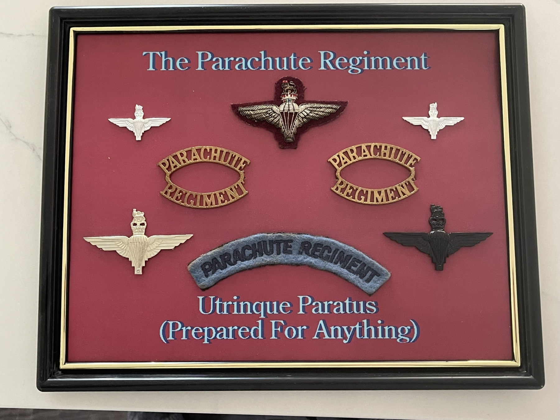 British Parachute Regiment Badge Display