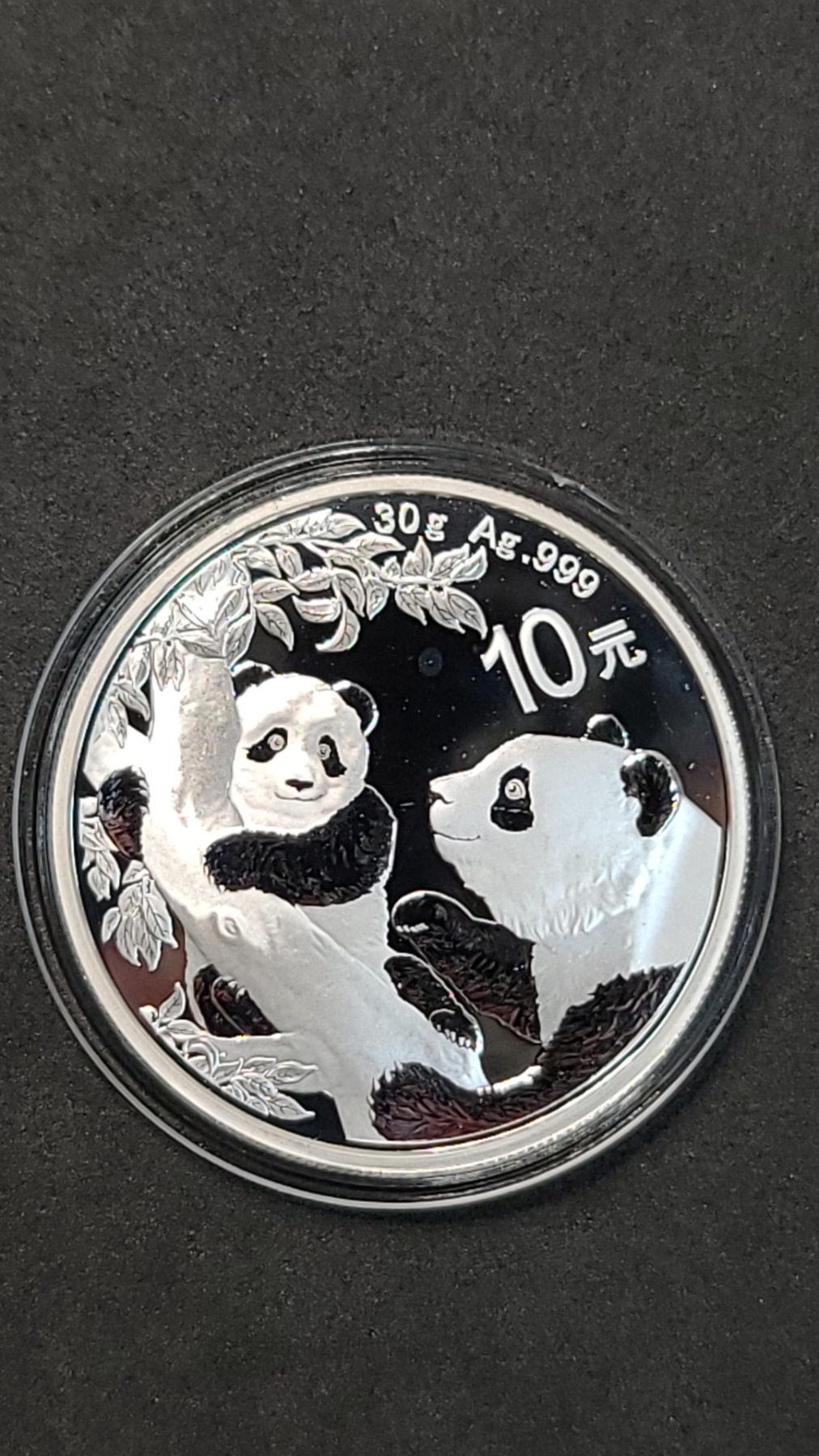 2021 Chinese 10YUAN Panda 30g .999 Fine Silver Coin - Bosley Auctioneers