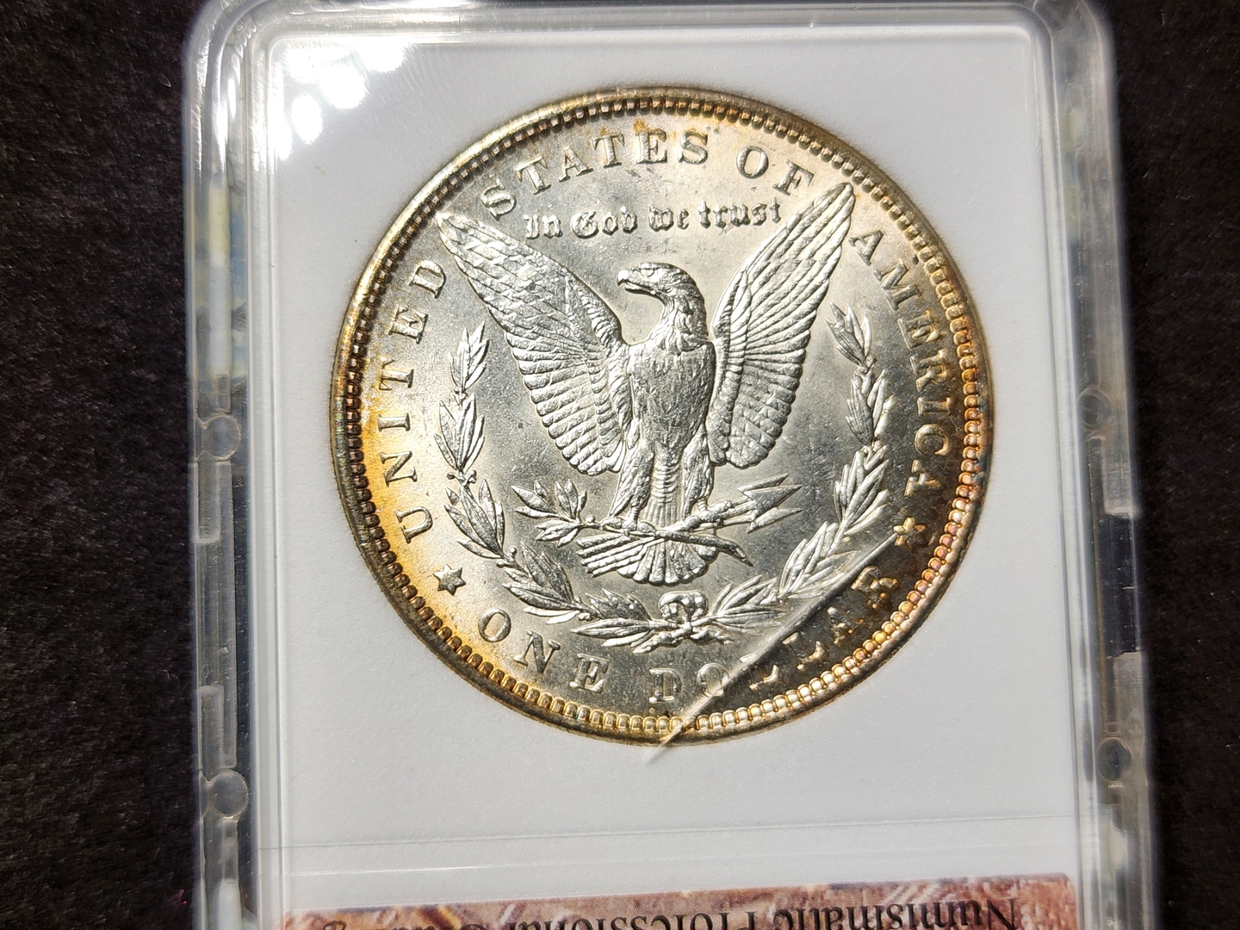1889-P Morgan Silver Dollar Graded MS66 by NPG - RARE Coin in High ...
