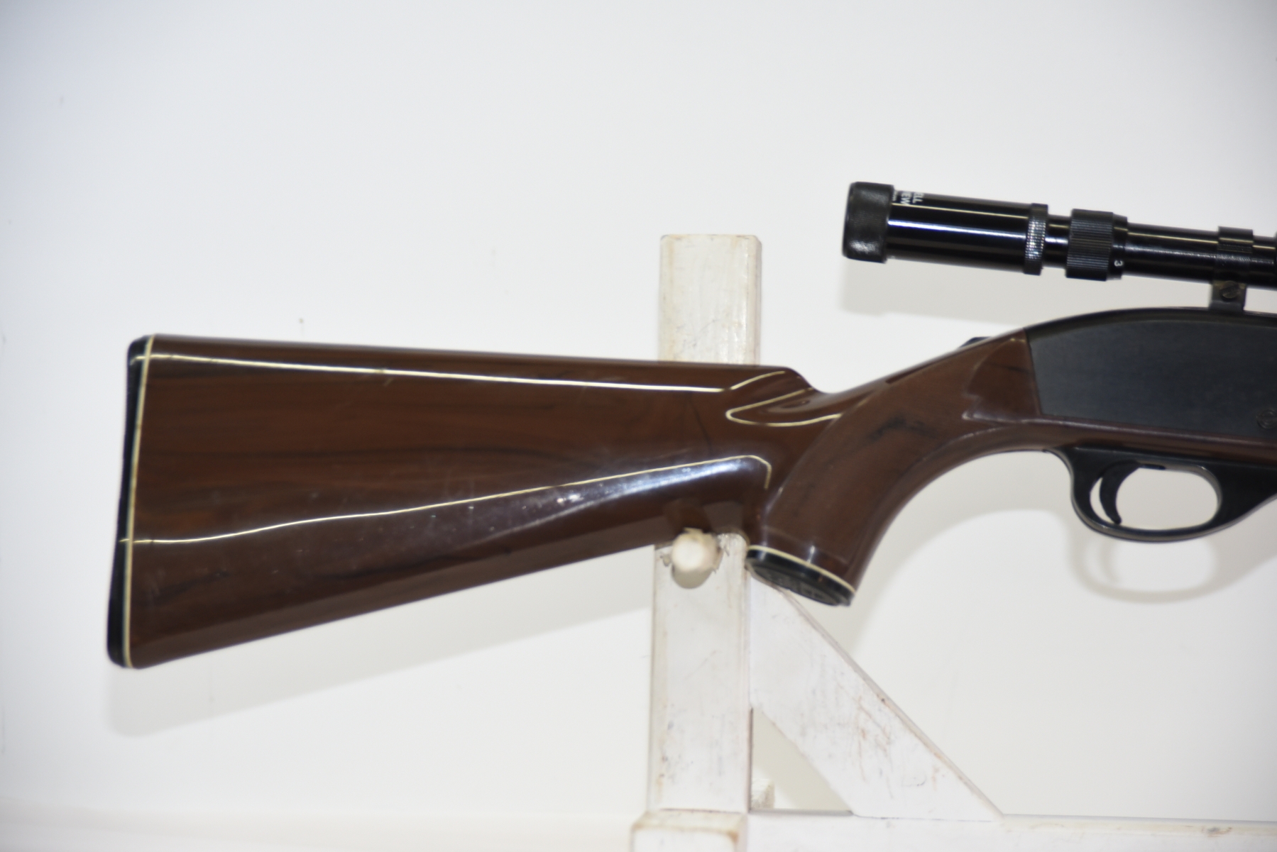 Remington Mohawk 10C Semi Automatic .22 LR Caliber Rifle With Scope ...