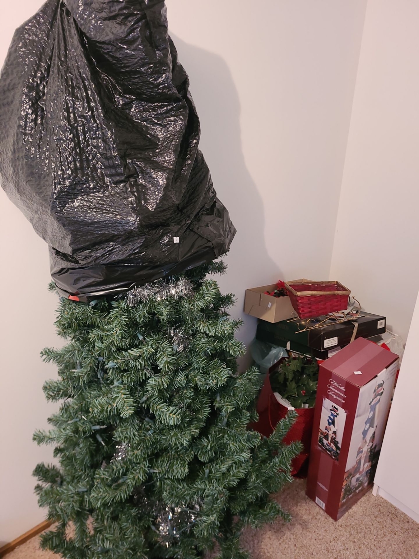 Holiday Trees: Tallest 70 h, Fibreoptic 50 h, Clear Plastic 14 h ...