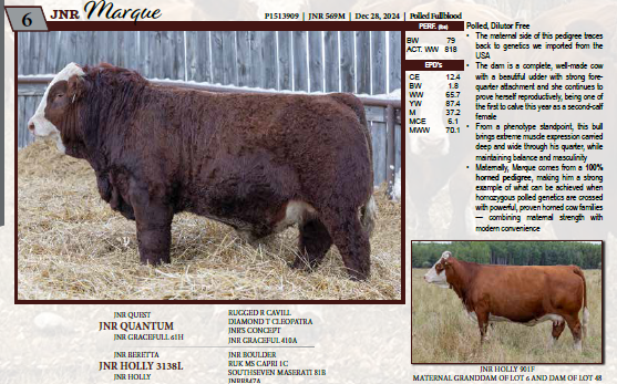 JNR Marque - Transcon Livestock