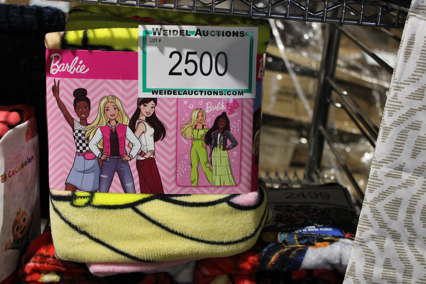 Barbie Micro Plush Throw