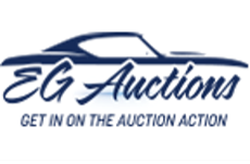 1996 FORD MUSTANG COBRA SVT - EG Auctions